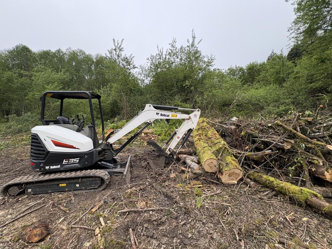 Brush Removal Services in Humboldt County | Fast Yard Clearing